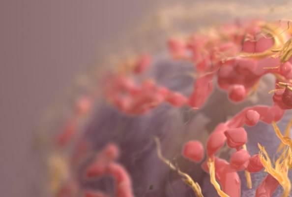 纳博生命科技 - NBLST