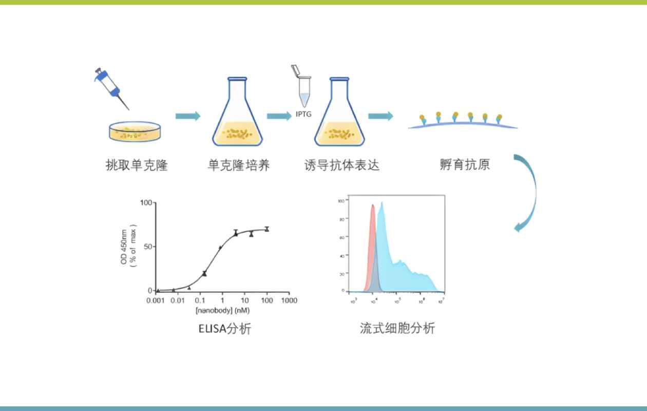 纳博生命科技-NBLST